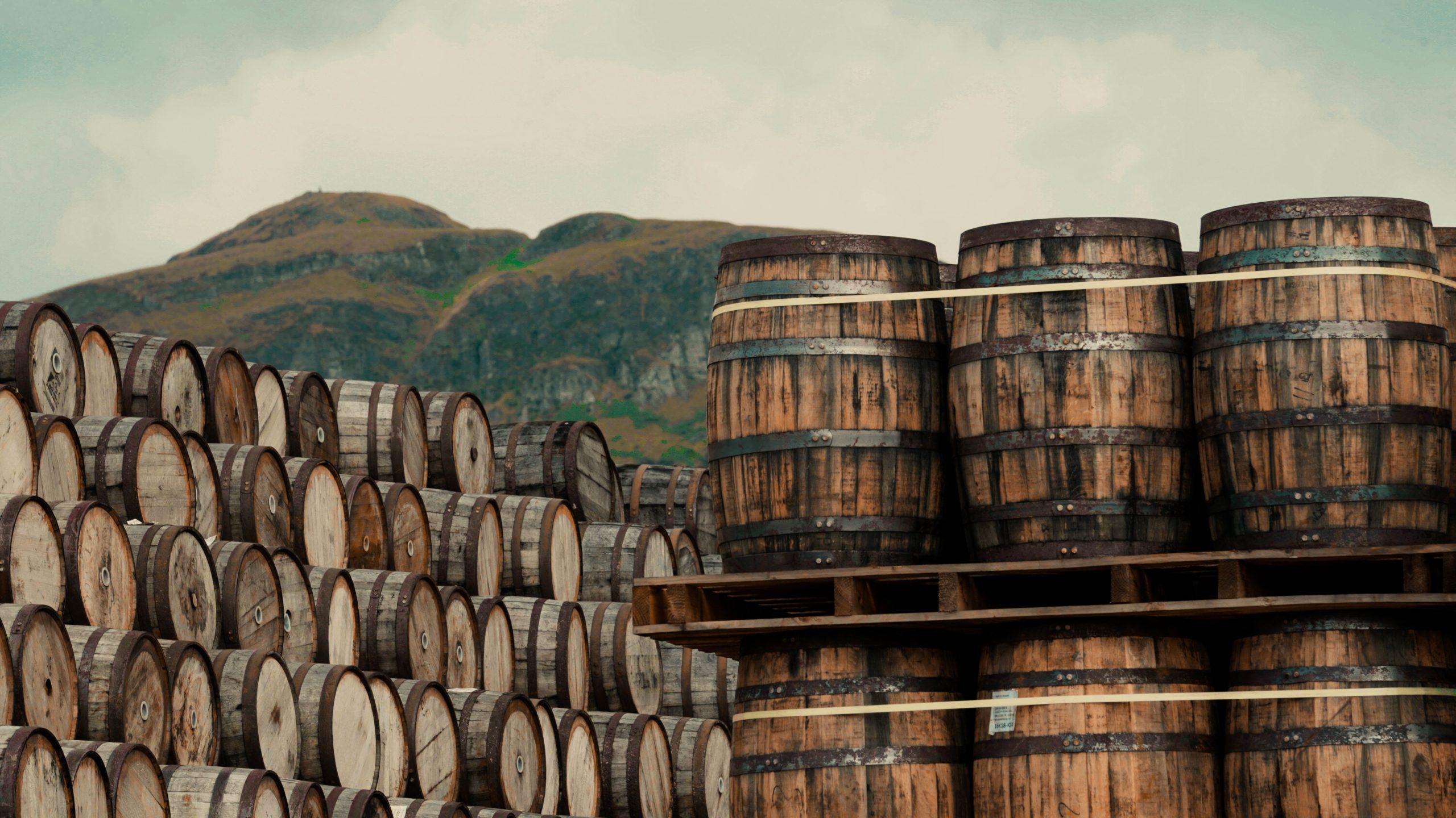 From SMSFs To Liquid Gold: Exploring The Allure Of Cask Whiskey ...